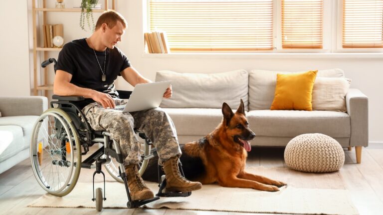 Understanding the VA Disability Ratings System - Veterans Benefits Law ...